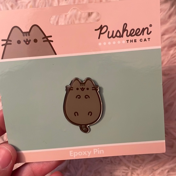 Hello Kitty | Accessories | Pusheen The Cat Pin | Poshmark